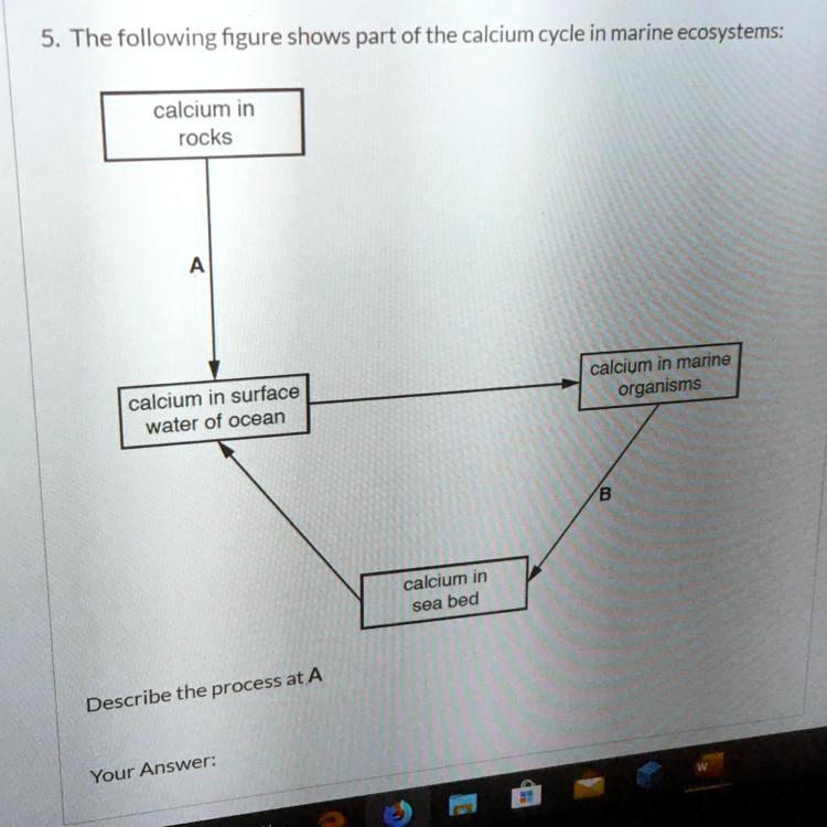 5. The following figure shows part of the calcium cycle in marine ...