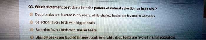 SOLVED: 03. Which statement best describes the pattern of natural ...