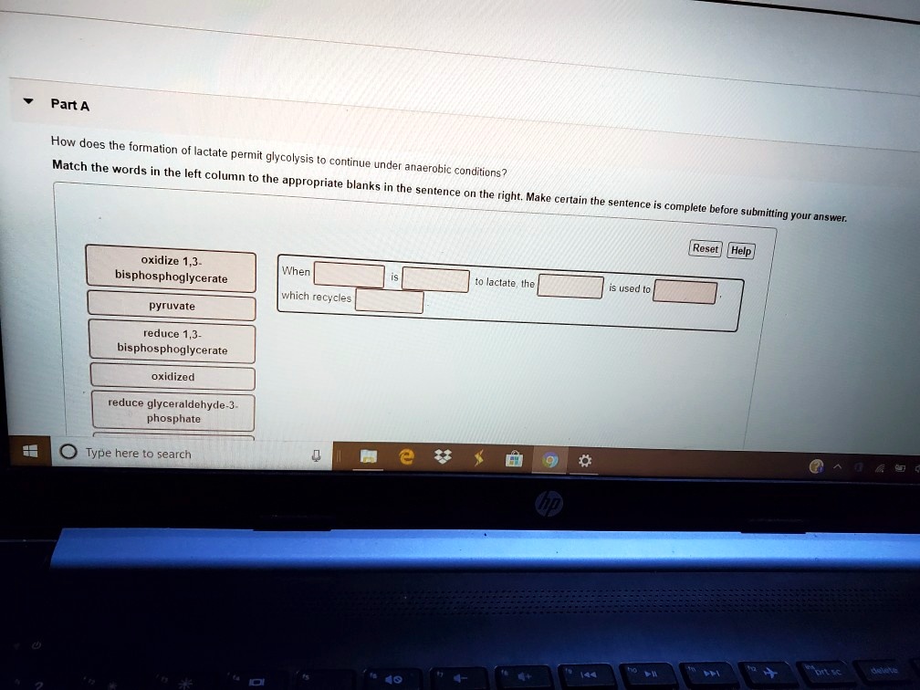 SOLVED: How does the formation of lactate permit glycolysis to continue ...