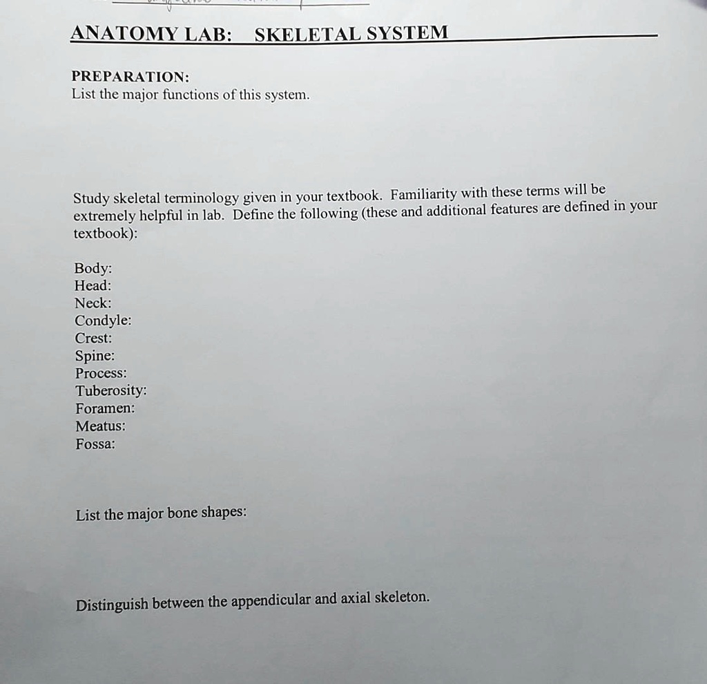 SOLVED: ANATOMY LAB: SKELETAL SYSTEM PREPARATION: List the major functions of this system ...