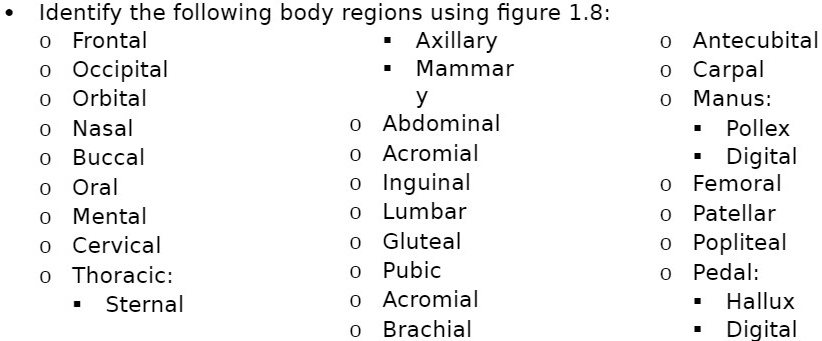 SOLVED: Identify the following body regions using figure 1.8: Frontal ...