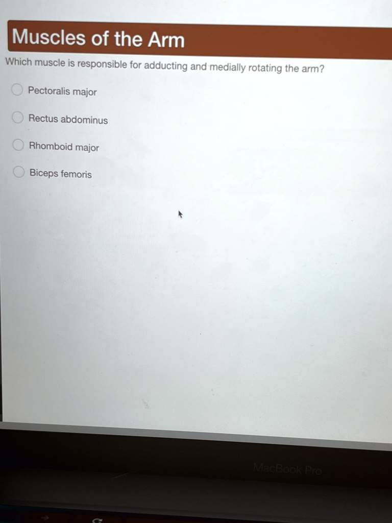 Muscles of the Arm Which muscle is responsible for adducting and ...