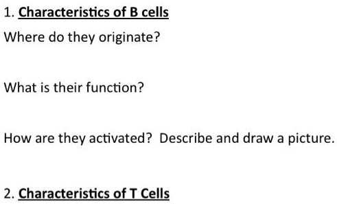 1. Characteristics of B cells Where do they originate? What is their ...