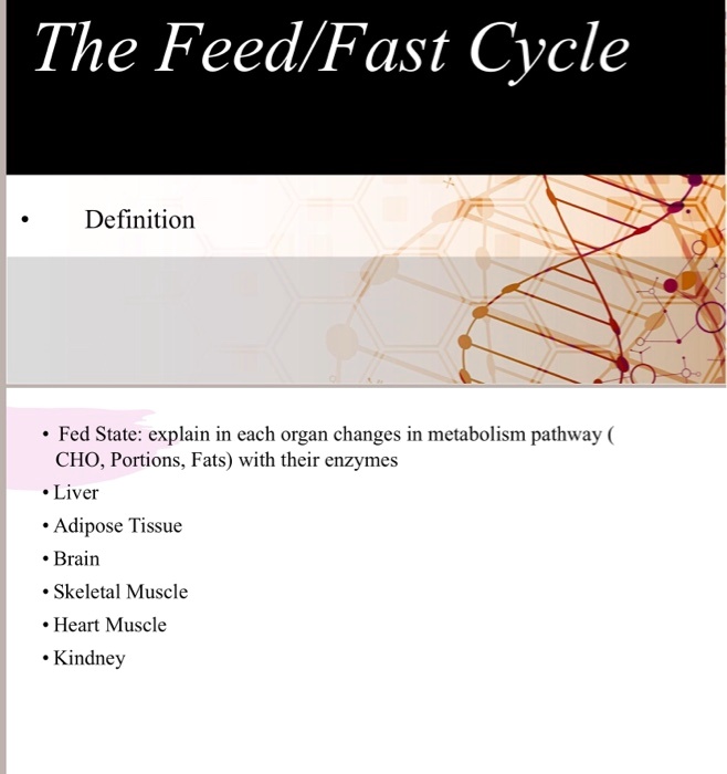 The Feed/Fast Cycle Definition • Fed State: explain in each organ ...
