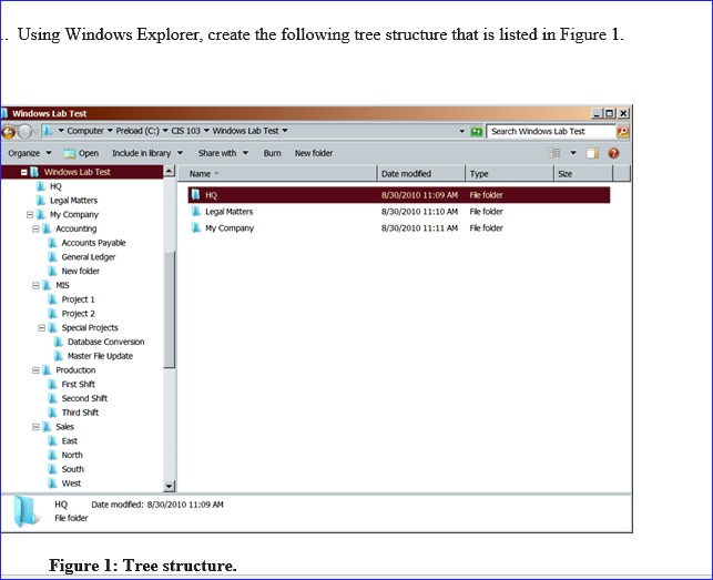 SOLVED: Part 1: Using Windows Explorer, create the following tree ...