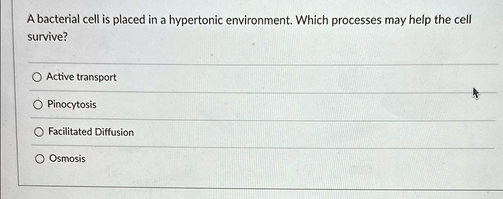 SOLVED: A bacterial cell is placed in a hypertonic environment. Which ...