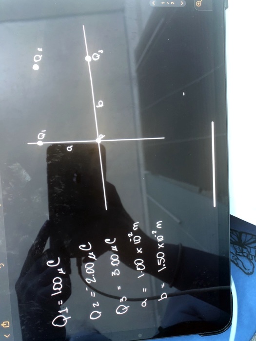 Solved Determine The Magnitude And Direction Of The Net Electric Field