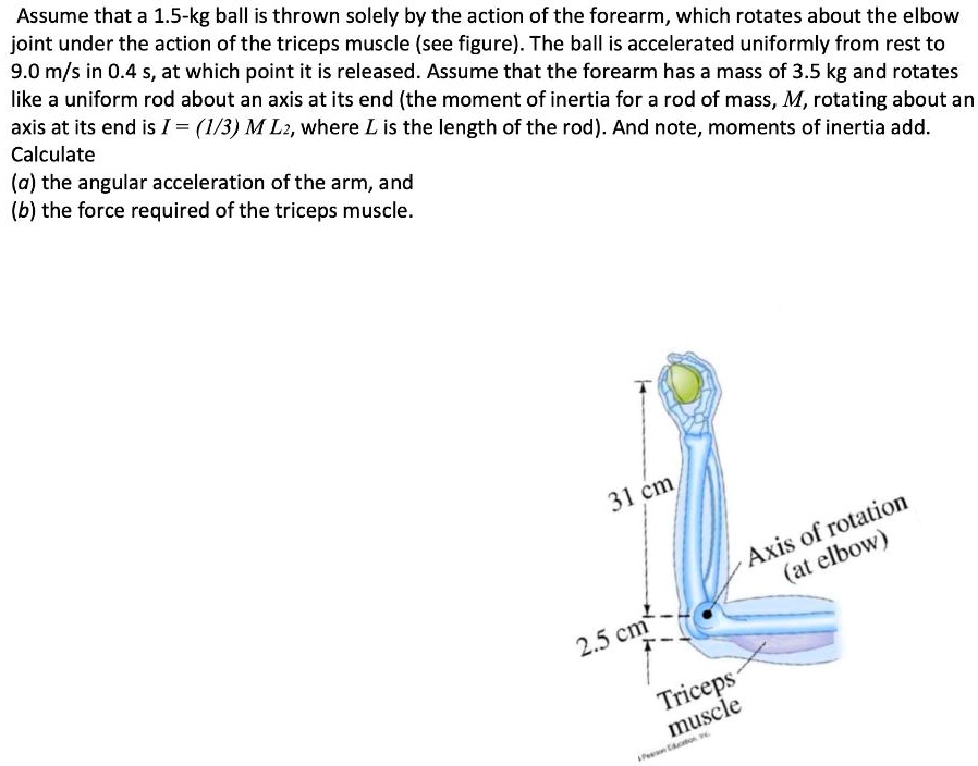 Assume that a 1.5-kg ball is thrown solely by the action of the forearm ...