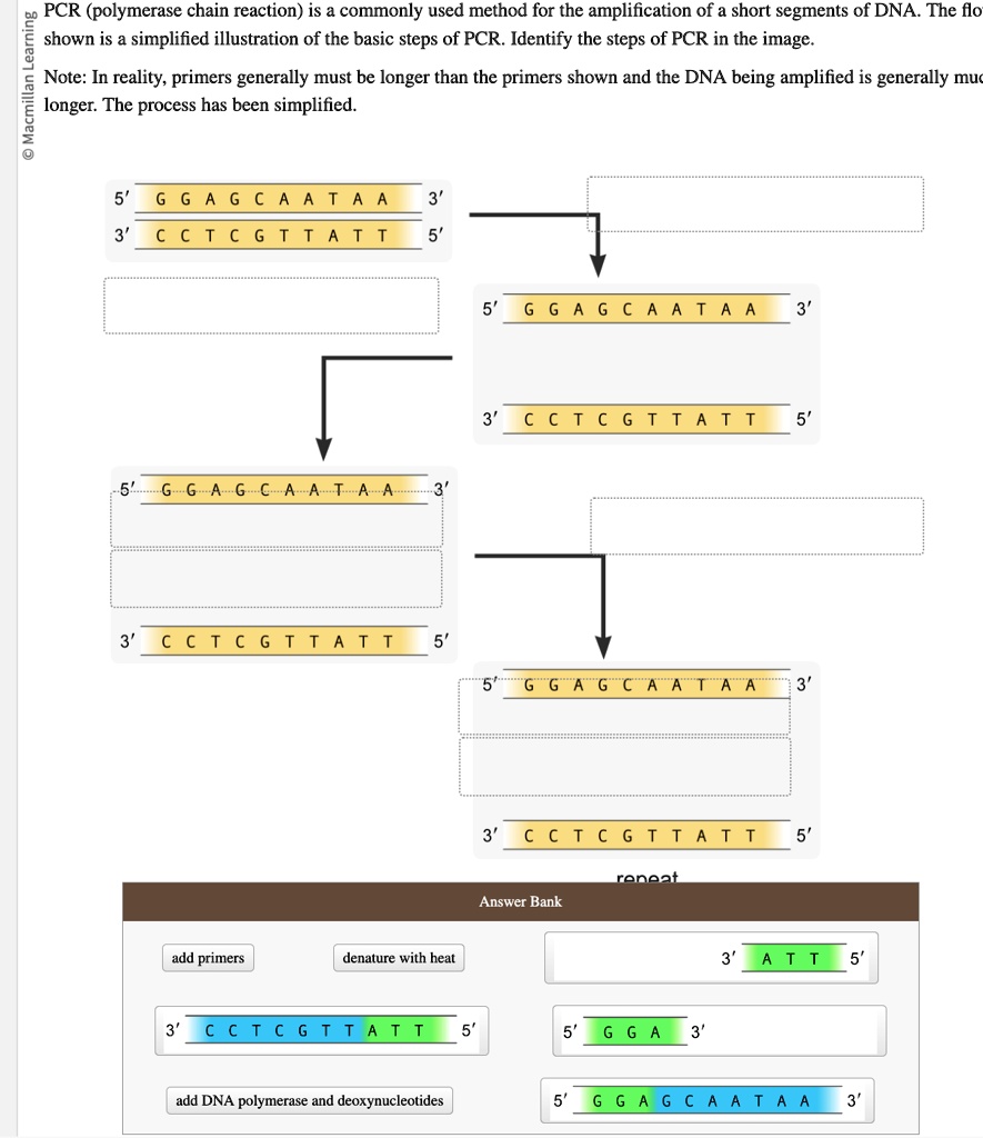 SOLVED: PCR (polymerase chain reaction) is a commonly used method for ...
