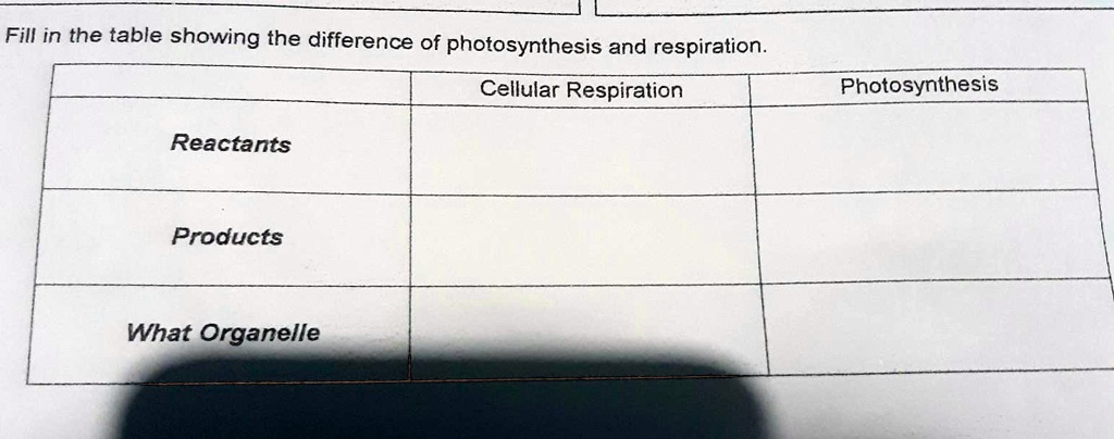 Fill in the table showing the difference of photosynthesis and ...