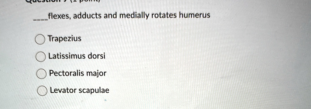 flexes adducts and medially rotates humerus trapezius latissimus dorsi ...