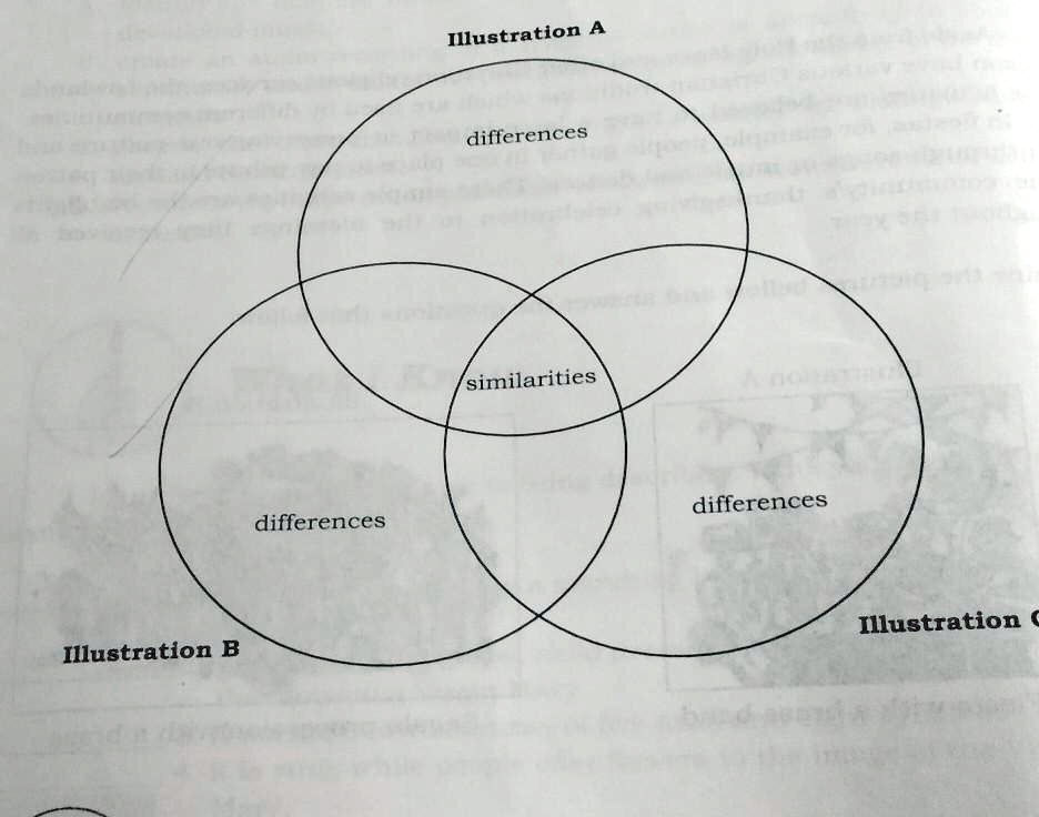 SOLVED: Illustration A - Differences and Similarities Illustration B ...
