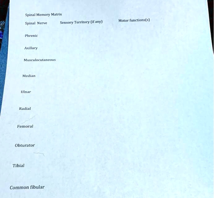 SOLVED: Spinal Memory Matrix Spinal Nerve Sensory Territory (if any ...