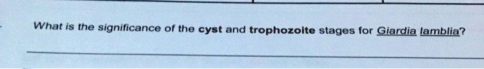 SOLVED: What is the significance of the cyst and trophozoite stages for ...