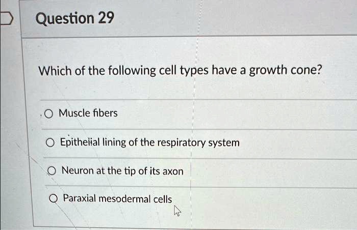 SOLVED: Question 29 Which of the following cell types have a growth ...
