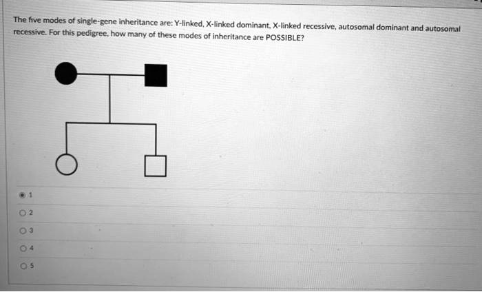 Solved The Five Modes Of Single Eene Inheritance Are Y Linked X