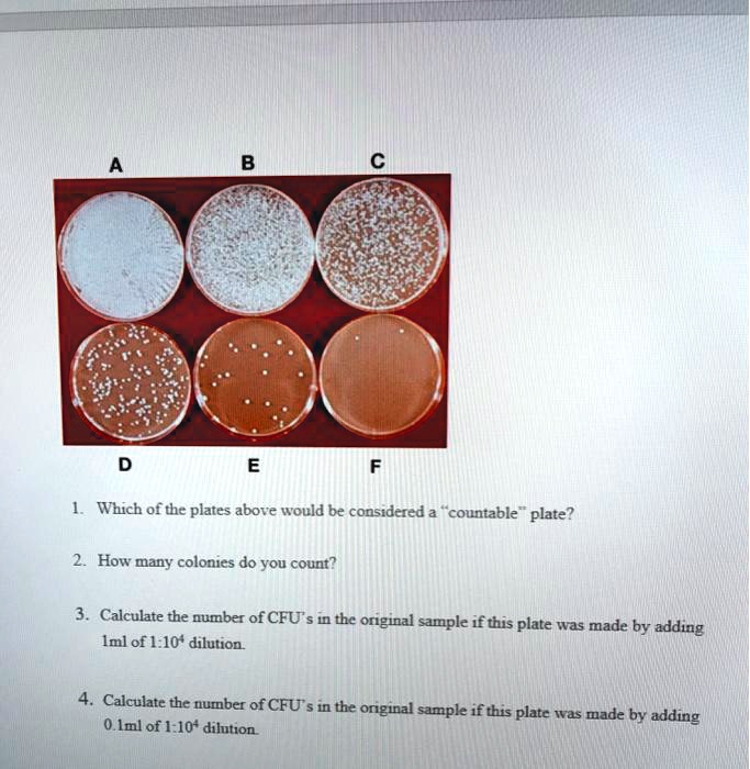 SOLVED: Which of the plates above would be considered a countable plate ...