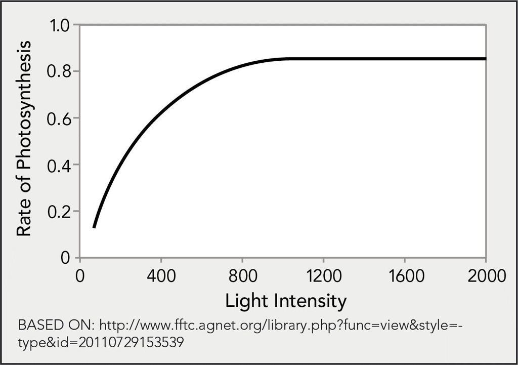 [GET ANSWER] 1.0 0.8- 0.6- Rate of Photosynthesis 0.4- 0.2 0 0 400 800 ...