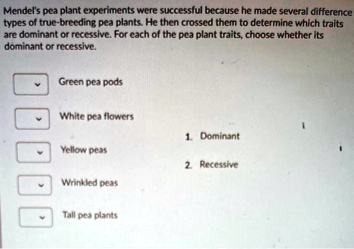 SOLVED: Mendel's pea plant experiments were successful because he made ...