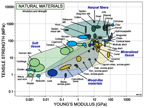 SOLVED: You must analyze a sample composed of a soft matrix (Young's ...