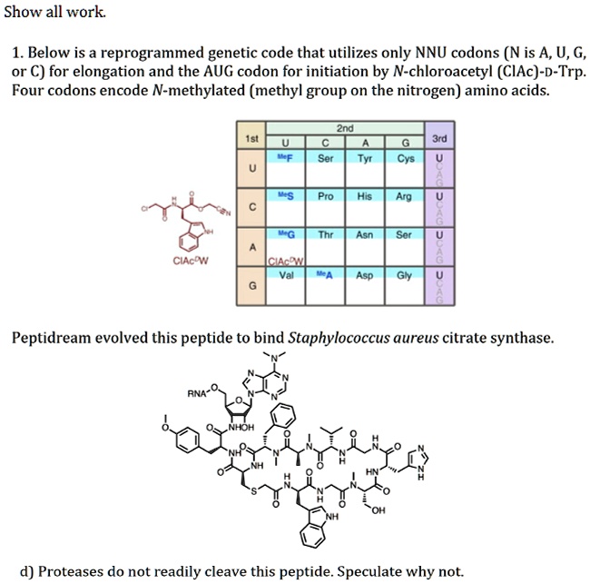 SOLVED: Show all work 1. Below is a reprogrammed genetic code that ...