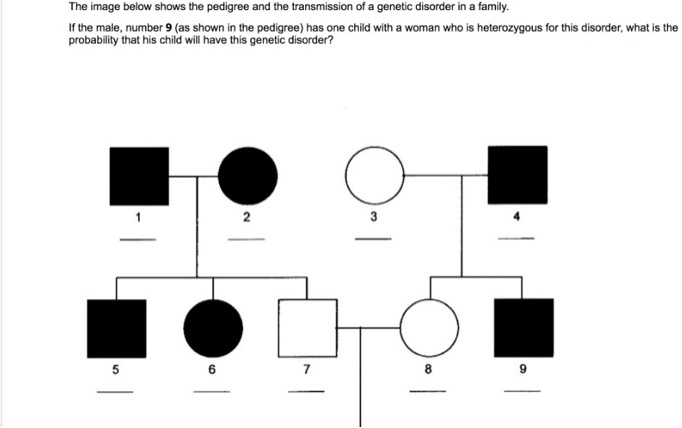 the image below shows ihe pedigree and ine transmission of genetc ...