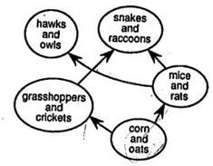 SOLVED: According to the food web below, which group of organisms would ...