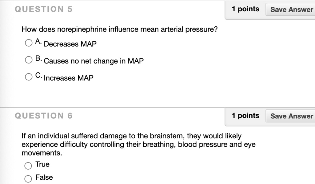 SOLVED: QUESTION 5 points Save Answer How does norepinephrine influence ... SOLVED: QUESTION 5 points Save Answer How does norepinephrine influence ...