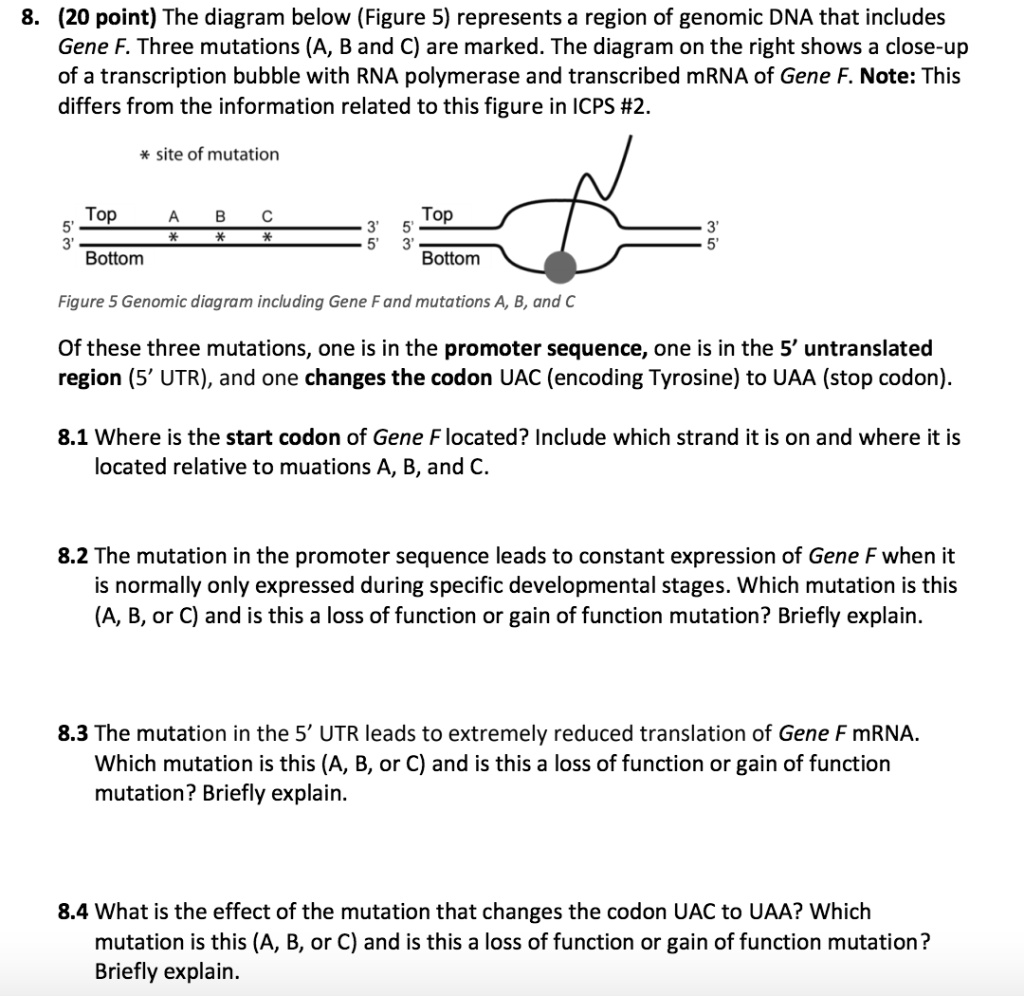 SOLVED:8. (20 point) The diagram below (Figure 5) represents a region ...