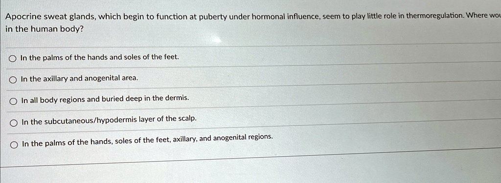 Apocrine sweat glands, which begin to function at puberty under ...
