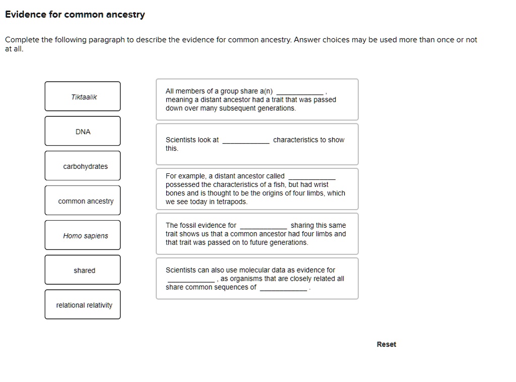 evidence for common ancestry complete the following paragraph to ...