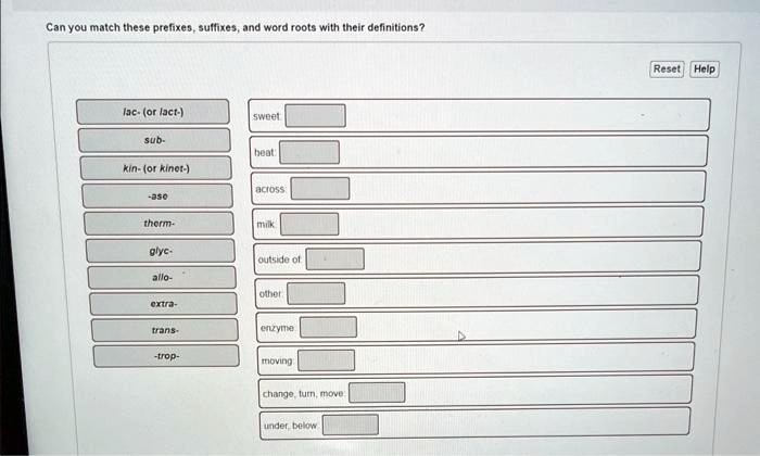 Can you match these prefixes, suffixes, and word roots with their ...