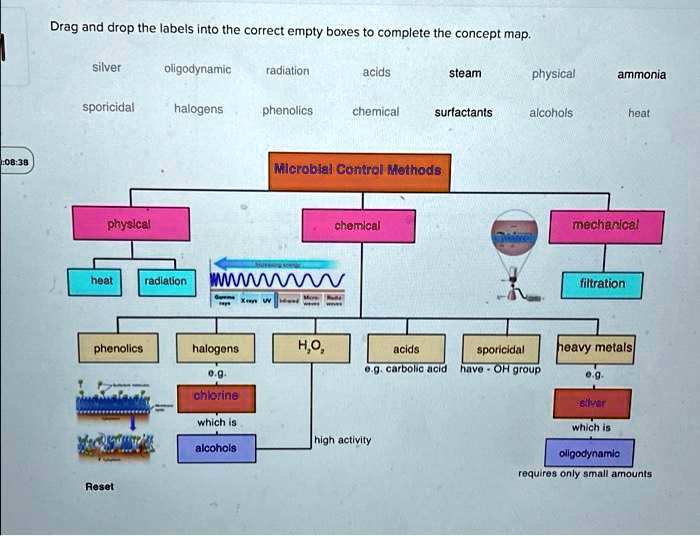 SOLVED: Drag and drop the labels into the correct empty boxes to complete the concept map ...