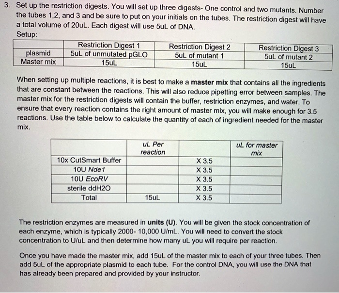 Set up the restriction digests you will set up three digests...