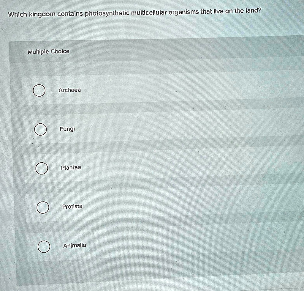 Which kingdom contains photosynthetic multicellular organisms that live ...