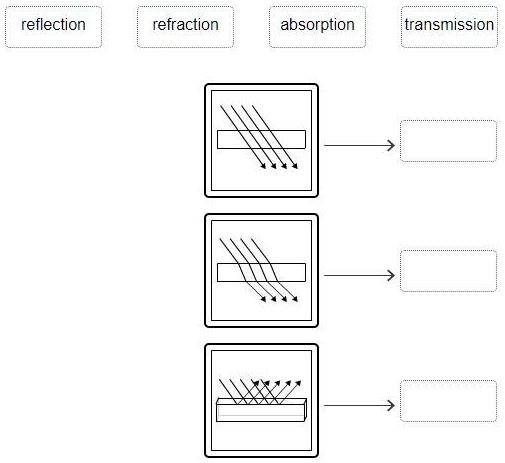 SOLVED: 'When light falls on objects, it interacts with them in ...