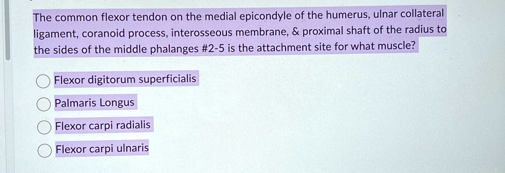 the common flexor tendon on the medial epicondyle of the humerus ulnar ...