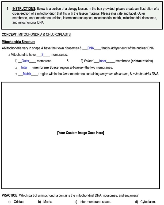 SOLVED: 1. INSTRUCTIONS: Below is a portion of a biology lesson. In the ...