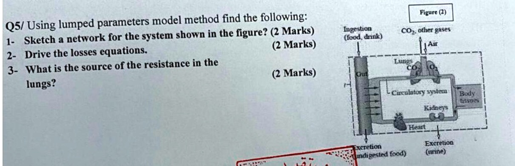 SOLVED: Texts: Figure (2) Q5/ Using lumped parameters model method, find the following: 1 ...
