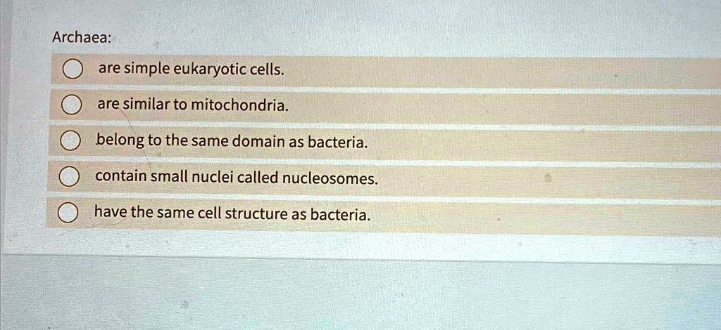 Archaea: are simple eukaryotic cells. are similar to mitochondria ...