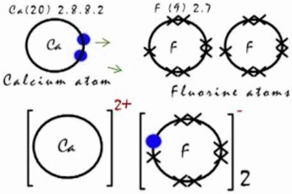 SOLVED: 'Q10. Calcium fluoride can be made from the reaction of calcium ...
