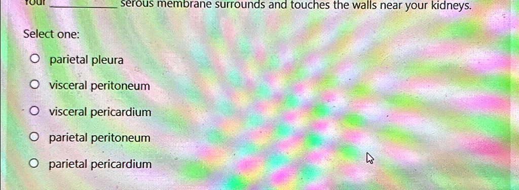 SOLVED: Serous membrane surrounds and touches the walls near your ...