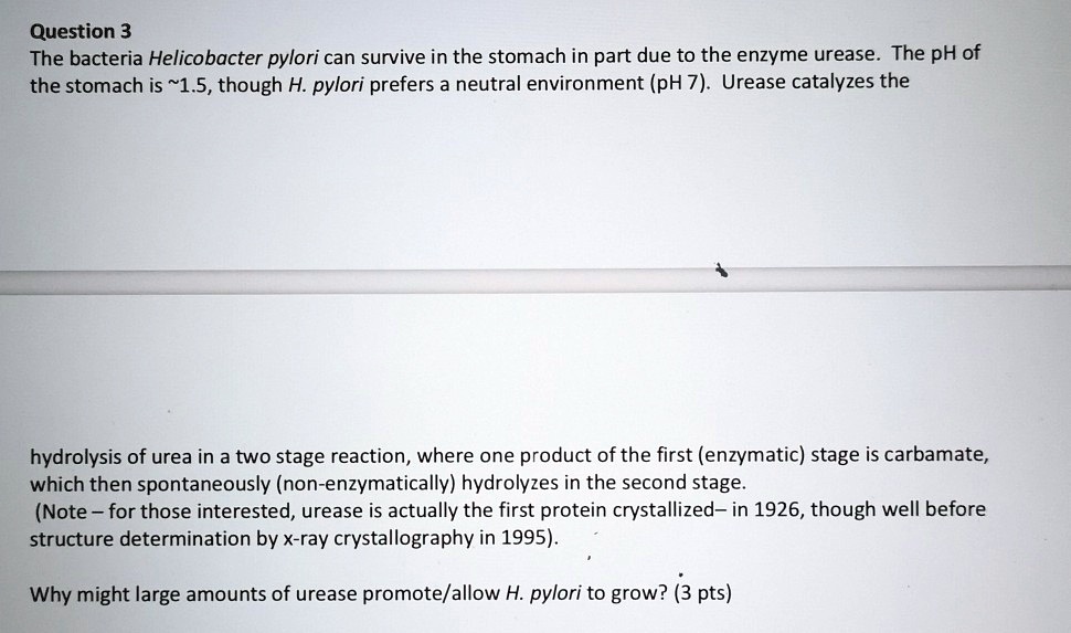 question 3 the bacteria helicobacter pylori can survive in the stomach ...