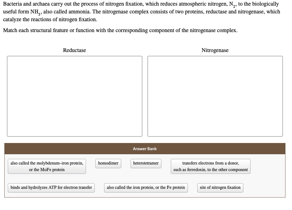 SOLVED: Bacteria and archaea carry out the process of nitrogen fixation ...