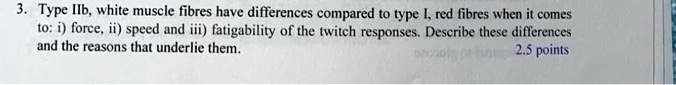 3. Type IIb, white muscle fibres have differences compared to type I ...