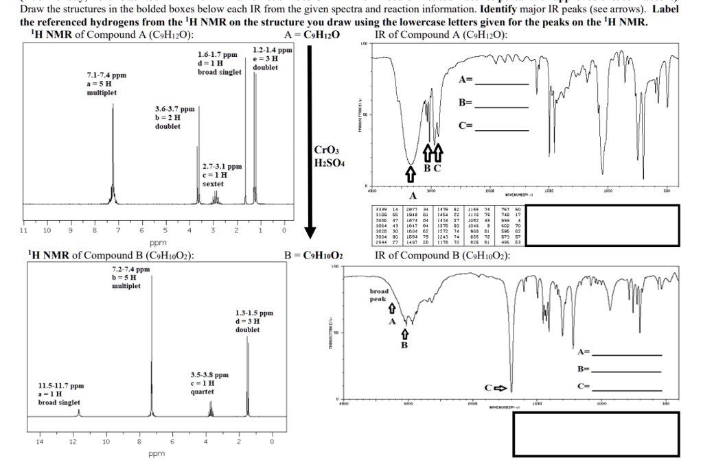 SOLVED: Draw the structures in the bolded boxes below each IR from the ...