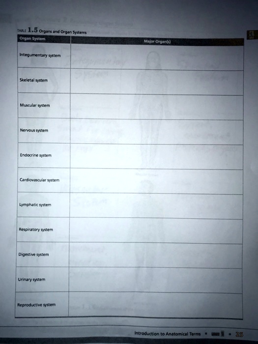 SOLVED: Integumentary system Skeletal system Muscular system Nervous ...