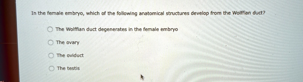 In the female embryo, which of the following anatomical structures ...