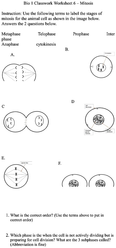 Bio 1 Classwork Worksheet 6 - Mitosis Instruction: Use the following ...