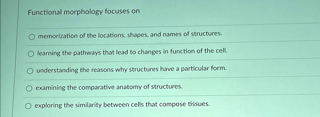 functional morphology focuses on memorization of the locations shapes ...
